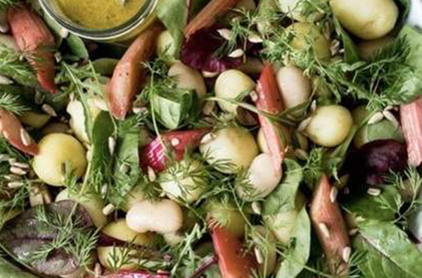 Skønne salater i Helsingør og Nordsjælland | Reerstrupgård Catering